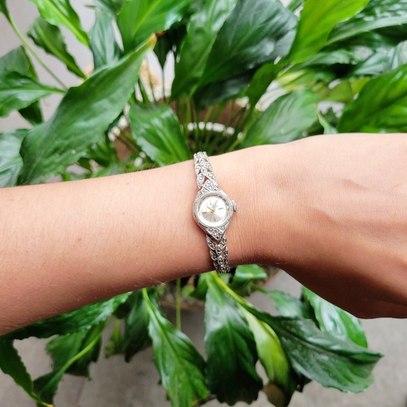 Regency | Accessories | Vintage Swiss Regency 7 Jewels Classic Silver ...